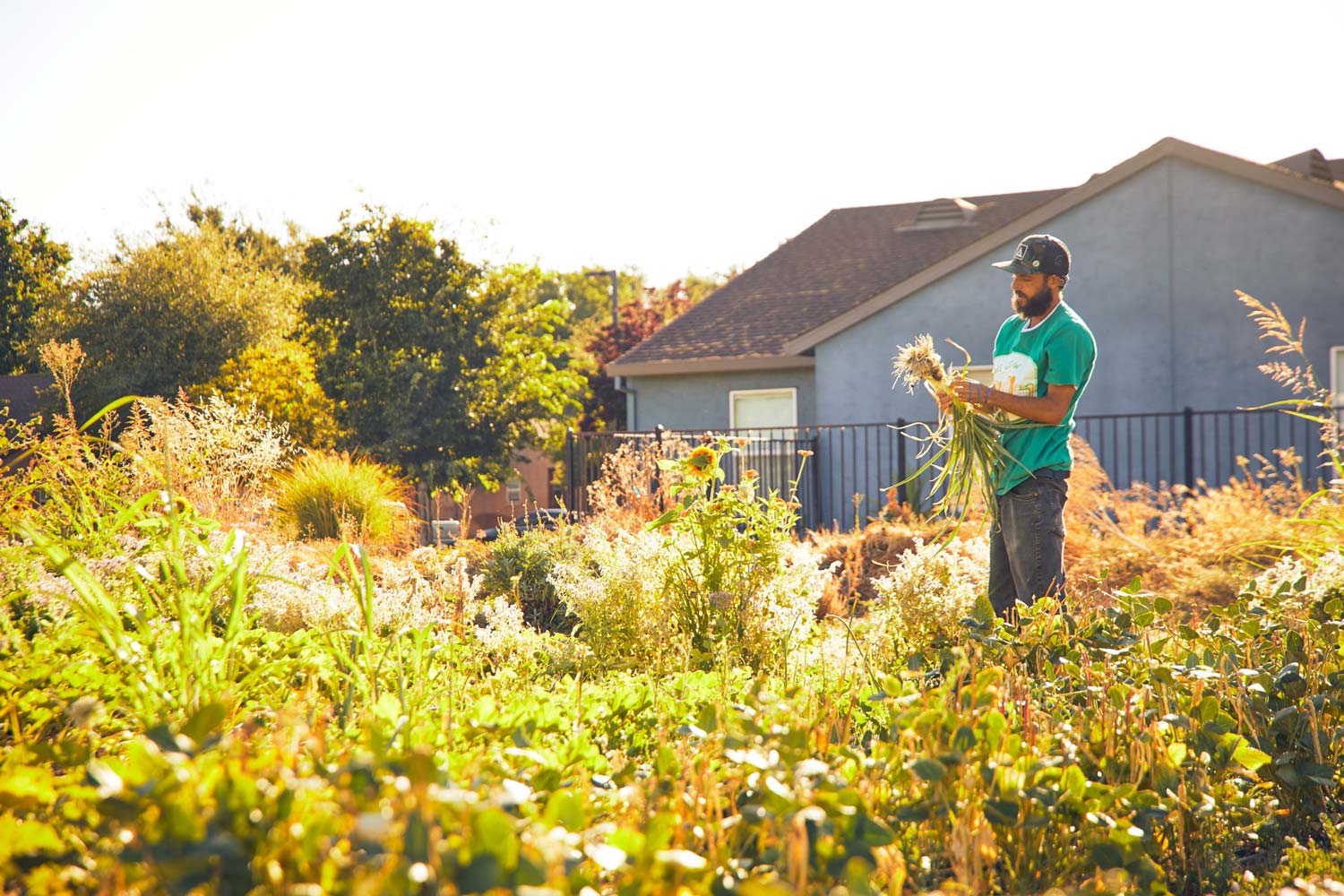 Nelson Hawkins - Maxwell/Hanrahan Foundation