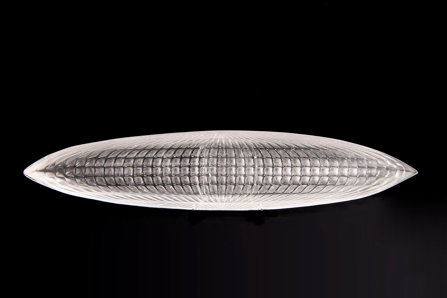 Nisha Bansil - Maxwell/Hanrahan Foundation