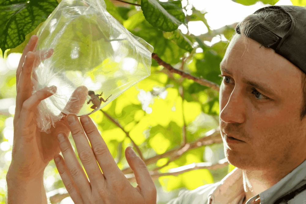 James Stroud - Maxwell/Hanrahan Foundation